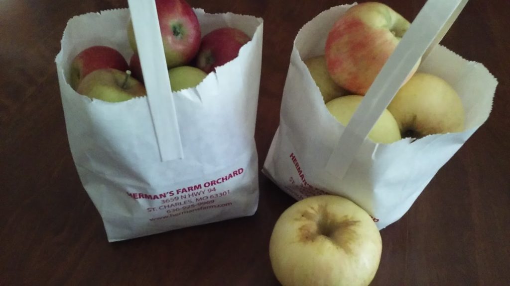 10 Things to do with Fresh Apples | A Well Advised Life